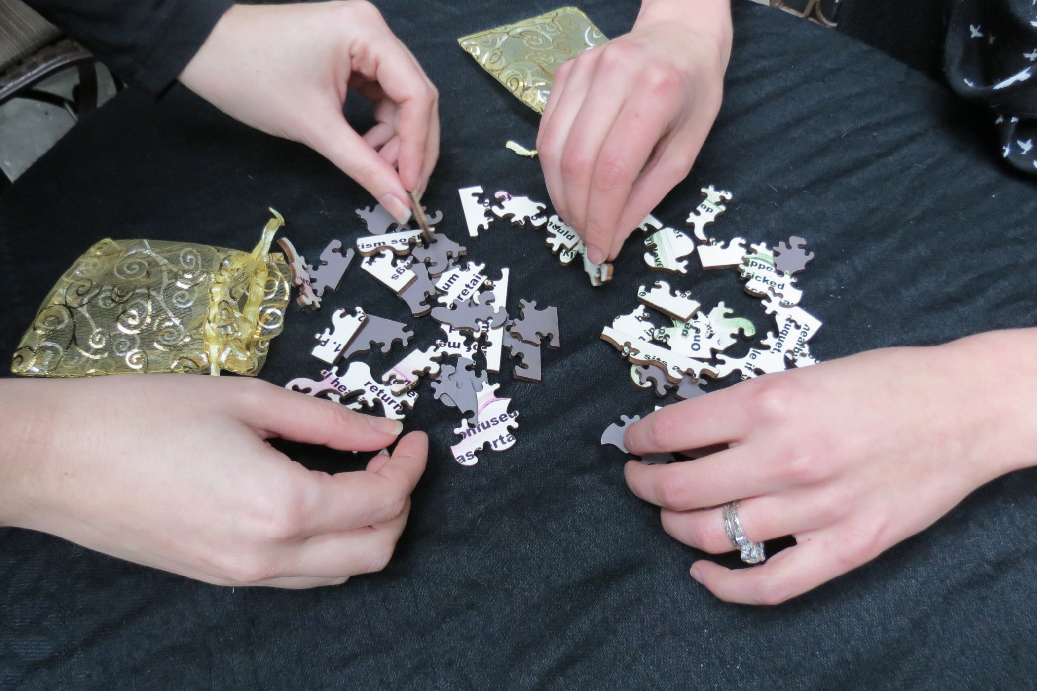 Cast and Crew | Accomplice the Show